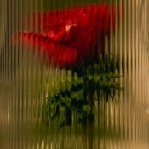 The ROSE Study: Investigative Tools for the Study of Endometriosis ...